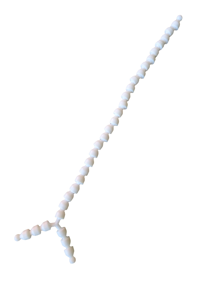 Armature ~ Skeleton ~ Spine with Pelvis Bone – Aussie Reborn Supplies