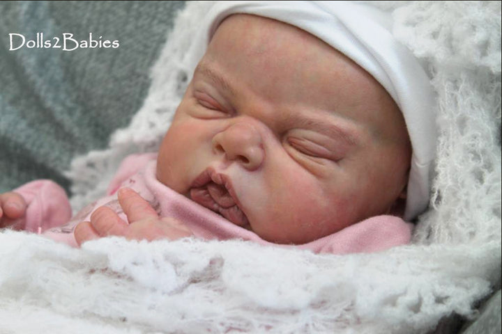 Reborn Kits – Aussie Reborn Supplies